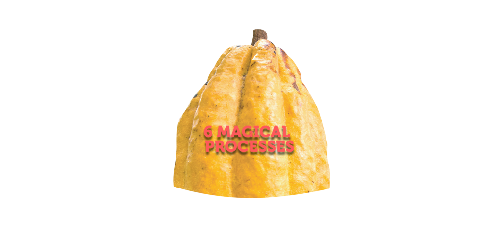 Decoco – Delica | Decoco